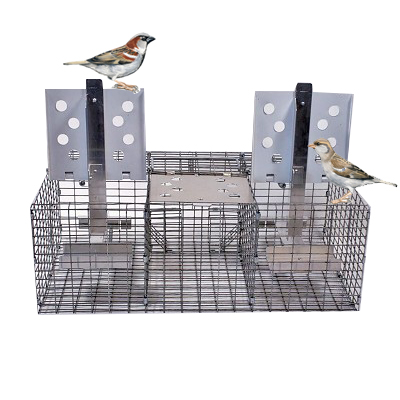 Troyer ST-2 wire sparrow trap at www.Purple-Martins.com